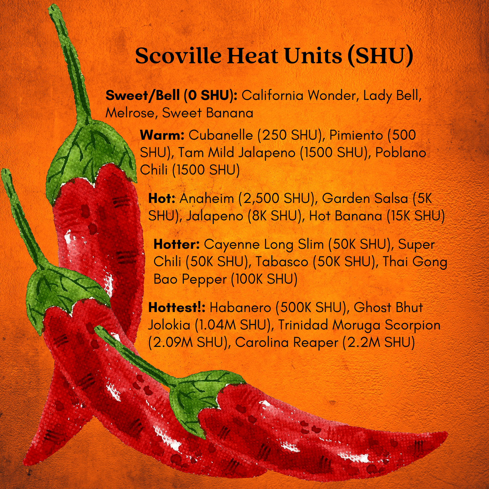 A Spicy Adventure: How to Grow Hot Peppers Like a Pro - Clovers Garden Tips